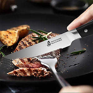 TUO Serrated Steak Knife - 5 inch Professional Kitchen Steak Knife Set 4 - Table Dinner Knife - German HC Stainless Steel Non Slip Pakkawood Handle - BLACK HAWK SERIES Including Gift Box