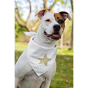 Star Iron On Decal, 4th of July Vinyl Patches, DIY Crafts, HTV Vinyl Shape Symbol, Pick from 9 Size Options, Glitter or Plain Colors, Iron-On Almost Anything in 5 Min (Neon Yellow Glitter)