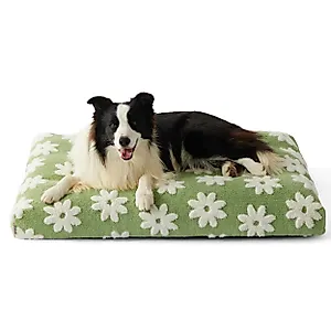 Lesure Large Dog Beds-Thick Shredded Chopped Foam Pet Bed, Dog Bed Indoor with Removable Cover, Cute Modern Fuzzy Plush & Anti Slip Bottom(36'x27', Green)