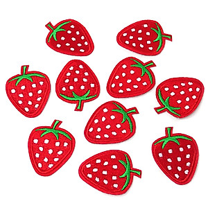 Honbay 10PCS Cute Red Strawberry Appliques Decorative Patches Embroidered DIY Sew on/Iron on Patches for Shirts, Coats, Jackets, Backpacks, Hats, Jeans