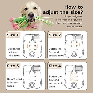 Paw Legend Washable Reusable Female Dog Period Diapers for Heat Doggie Puppy Diapers for Female Dogs (3 Pack, Large)