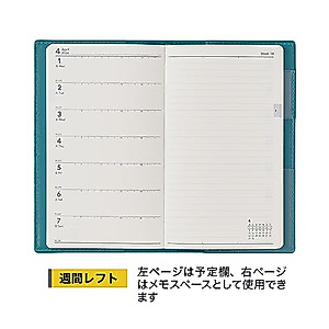 Noritsu NOLTY Notebook, 2024, Weekly Pocket Casual, 1, Surf Green, 1504 (Begins December 2023)