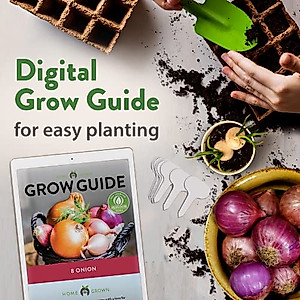 8 Onion Seeds for Planting - 1600 Heirloom Onion Seeds - Green Onion, Sweet Onions, Vidalia, Spanish, Yellow and Red Onion Vegetable Seeds for Planting and More