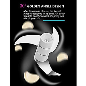 DmofwHi Electric Garlic Chopper,Cordless Mini Chopper With USB Rechargeable,304 Stainless Steel Blade,250ml Portable Electric Mini Food Chopper for Garlic,Ginger,Onion,Meat-Blue