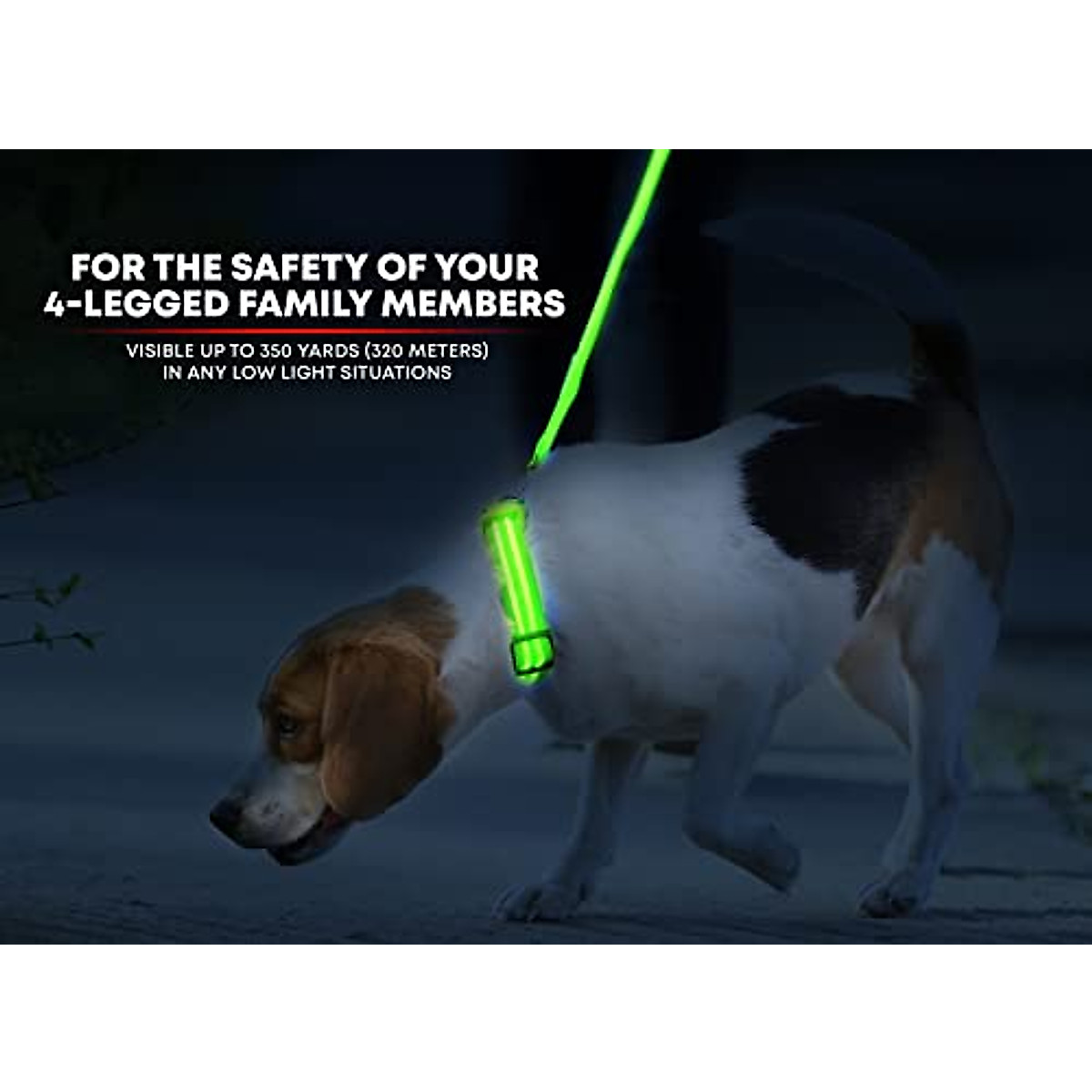 Illumiseen LED Dog Collar USB Rechargeable - Bright & High Visibility Lighted Glow Collar for Pet Night Walking - Weatherproof, in 6 Colors & 6 Sizes (Green Large)