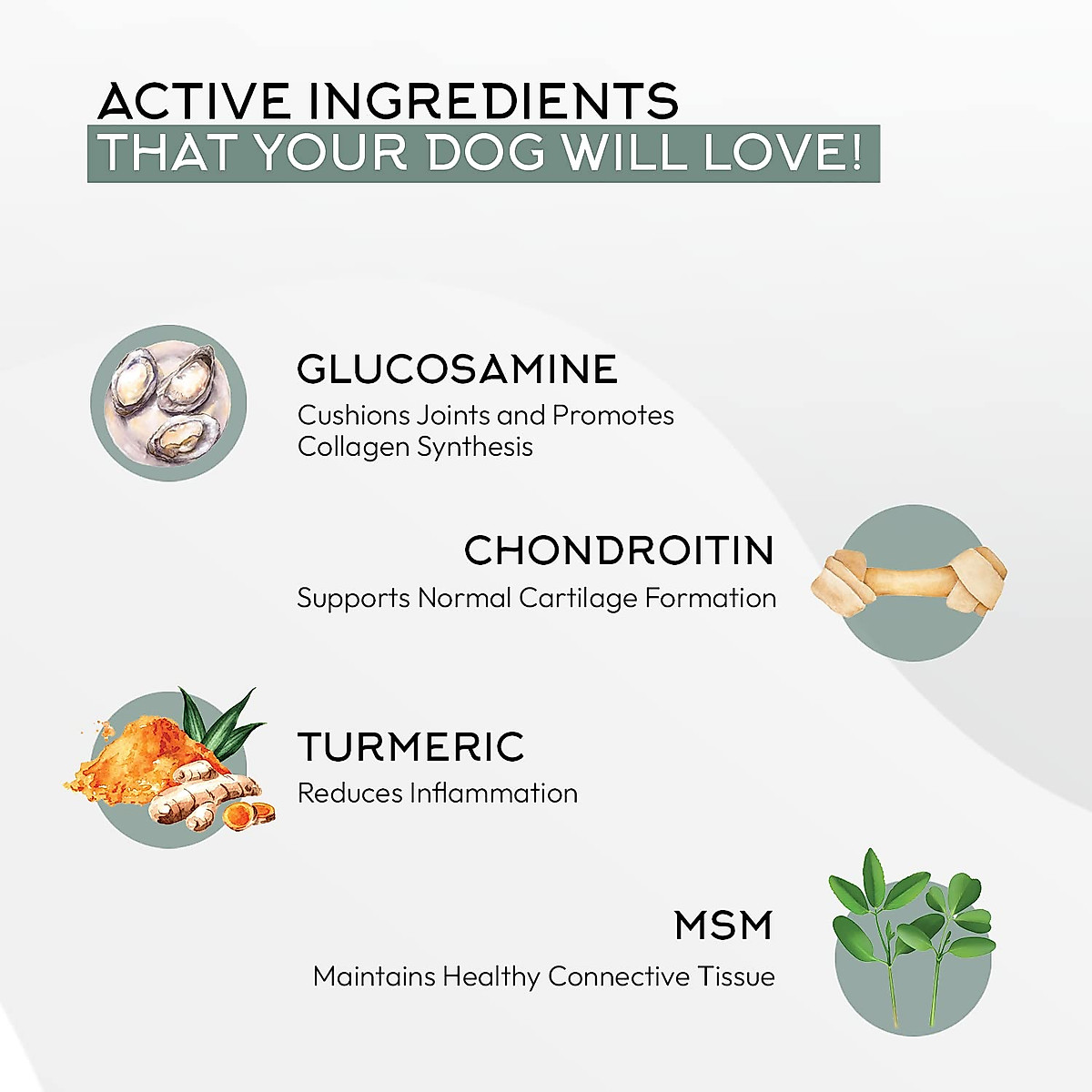 Gnawty Bites Joint Flex | Dog Hip & Joint Support Supplement for Mobility & Advanced Joint Health with Glucosamine Chondroitin MSM, Turmeric, Dog Joint Supplement,120 Soft Chews