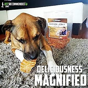 Vet Recommended Premium Chicken Jerky for Dogs - Giant 8oz Bag | All Natural Dog Treats - Single Ingredient - No Fillers or Preservatives - Whole Dehydrated Chicken; Not Formed - Made in USA