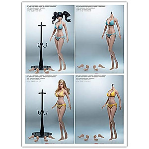 HiPlay TBLeague Seamless Action Figure Anime Girl Body Type and Large Bust 1:6 Scale S37(Pale, with Head)