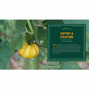 Plant Partners: Science-Based Companion Planting Strategies for the Vegetable Garden