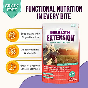 Health Extension Dry Dog Food, Natural Food with Added Vitamins & Minerals, Suitable for All Puppies, Include Buffalo & Whitefish Recipe with Whole Vegetable & Berries (23.5 Pound)