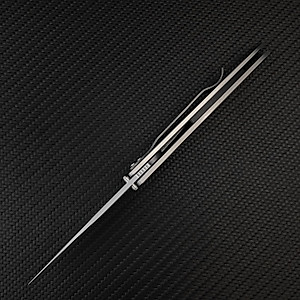 Everyday Carry Leek Pocket Knife, 2.8 inch 5Cr15 Mov Blade and Stainless Steel Handle, Flipper Assisted Opening Folding Knife with Frame Lock, Deep Carry Pocketclip for Camping