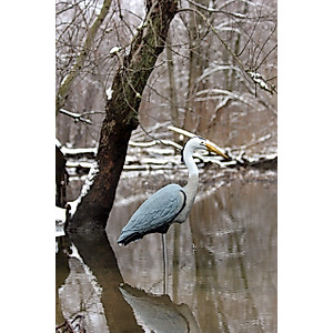 Flambeau Outdoors 5960CD Great Blue Heron Decoy, Includes Metal Stake - 1-Pack