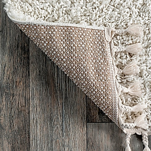 nuLOOM Neva Modern Tasseled Shag Area Rug, 4x6, Ivory