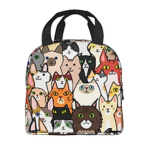 MDMEI Cartoon Cat Lunch Bag for Girls Kids School Insulated Picnic Box for Women Girls Reusable Thremal Washable Meal Pail