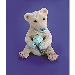 ACTIVA Rigid Wrap Premium Plaster Cloth, 20 pounds, White