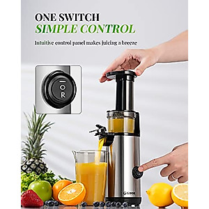 Compact GDOR Masticating Juicer with Powerful 60NM DC Motor, Low Noise, Space-Saving Cold Press Juice Exrtractor Machines, Easy to Clean Slow Juicer, Brush Included, 20 Oz Juice Cup, BPA-Free, Sliver