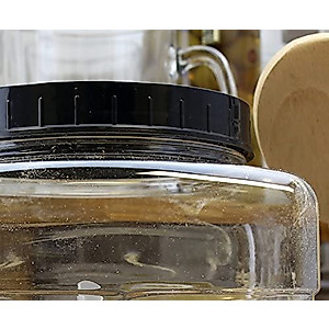 Cornucopia Square Gallon Size Clear Plastic Canisters (2-Pack); 4-Quart Jar Grip Containers w/ Plastic Scoops; BPA-Free
