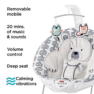 Fisher-Price See & Soothe Deluxe Bouncer