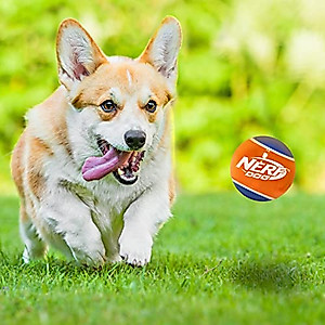 Nerf Dog 2 inch TPR Squeak Tennis Ball 2-Pack