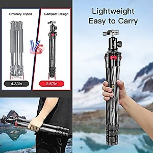 Manbily 63" Carbon Fiber DSLR Camera Tripod Monopod Kit,Compact and Lightweight,360-degree Panoramic Ball Head Quick Release Plate,5 Seconds Quickly Invert The Center Column,for Travel Work(YS-254C)