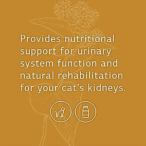 Standard Process - Feline Renal Support - Kidney and Urinary Health for Cats - 90 Tablets