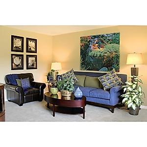 Westinghouse 5314020 30/70/100-Watt Equivalent Omni A19 3-Way Soft White Energy Star LED Light Bulb with Medium Base (6-Pack), 6 Count