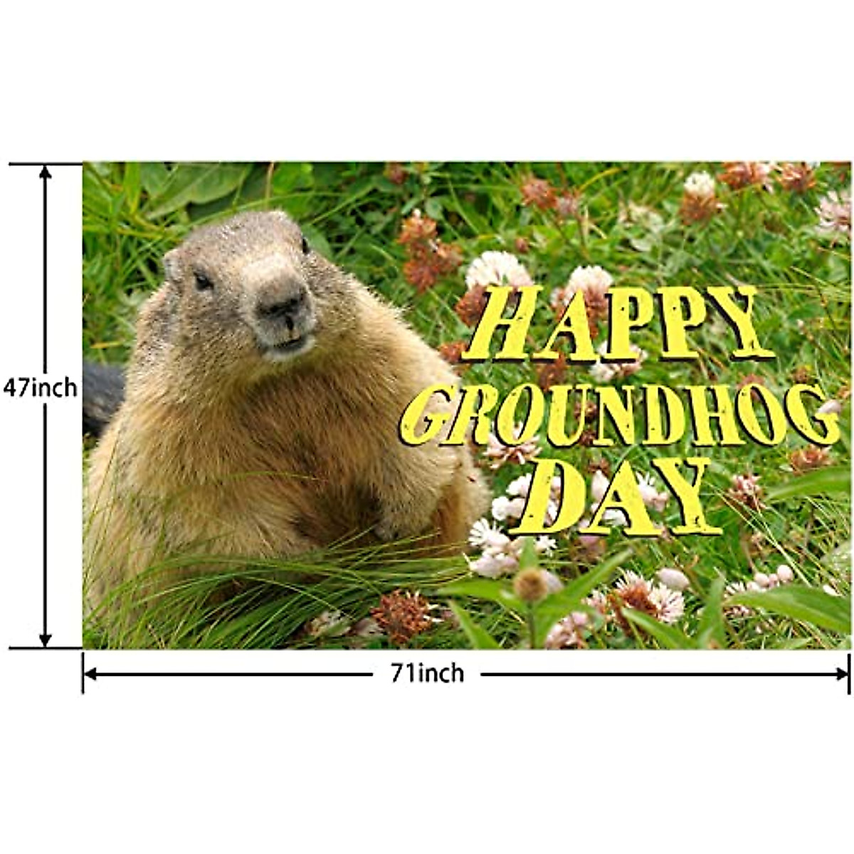 Happy Groundhog Day Banner Background Realistic Cute Animals Flowers Green Grass Theme Decor for 1st Birthday Party Spring February 2nd Holidays Festival Groundhog Day Supplies Favors Decorations