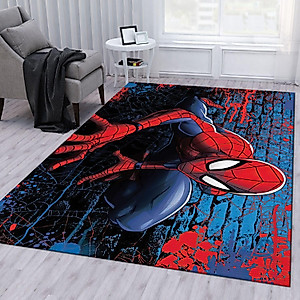 TIMELESSLIVING Superhero rug Super Hero Area Rug Cartoon Movie living room Bedroom Decor Kids Room Rug PHDB05