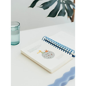 School Diary Erik, The Little Prince 14,8x21cm (2023/2024)