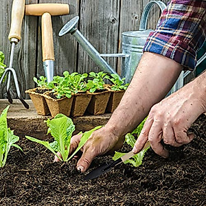 Aodaer 247 Pack Seed Starter Kit Including Peat Pots for Seedlings Seed Starter Tray with Plant Labels, Tool, Plastic Growing Trays Germination Tray Paper Seedling Cups for Indoor Outdoor Garden