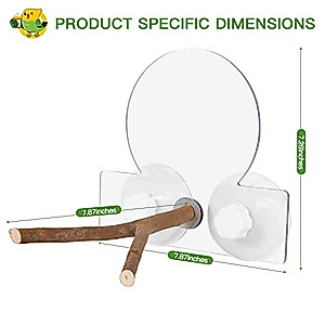 GJRGEG1Y Removable Window/Shower Perch Platform with Suction Cups for Bird Includes Stainless Steel Washer Robust and Stable Without Falling (Small)