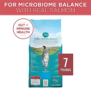 Purina ONE Natural Dry Cat Food, Tender Selects Blend With Real Salmon - 7 lb. Bag