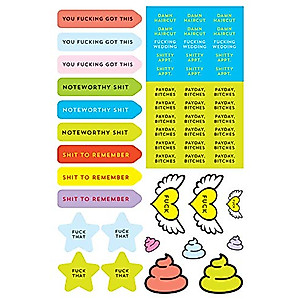 F*cking Planner Stickers: 500+ Funny Adult Stickers to Control Your Sh*t (Journal Variety Pack, White Elephant Gift)