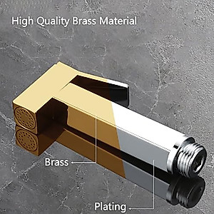 SWHC Handheld Bidet Sprayer, Bidet Sprayer for Toilet with 1.2M Hose and Bracket Holder Wall Mounted Brass Bidet Tap Kit for Toilet Cleaning Pet Bath Personal Hygiene, Chrome