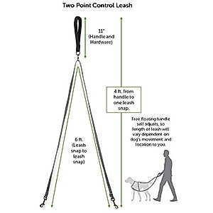 PetSafe Two Point Control Leash, Padded and Reflective Nylon Leash Converts to Single Leash, Works with 3in1 Harnesses, 3/4 in. Wide Leash