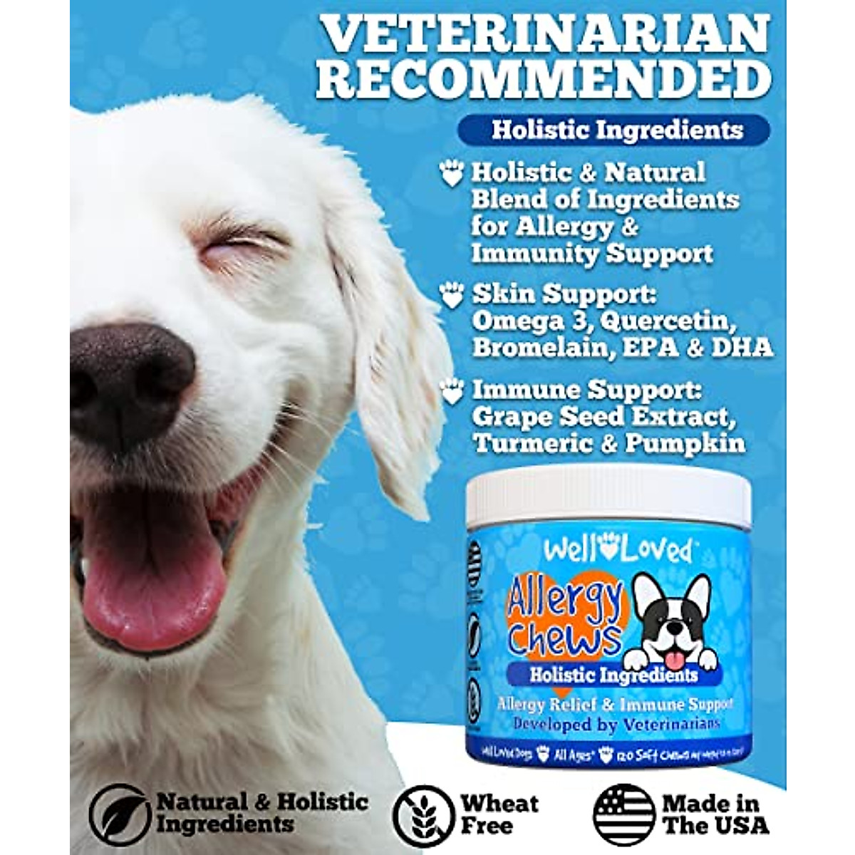 Well Loved Dog Allergy Chews - Dog Allergy Relief, Made in USA, Vet Developed, Hot Spot Treatment for Dogs, Dog Itch Relief, Anti Itch for Dogs, Dog Vitamins, Dog Skin Allergies Treatment, 120 Count