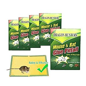 Dragon Hunters 5 Pack Large Size Mouse Trap, Traps for Mice Rats Rodents , Extra Large (8.5" x 12.5")