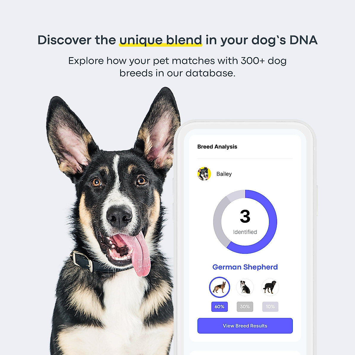 Basepaws Dog DNA Testing Kit - 300+ Breeds, 280+ Health Risks, and 30+ Traits - Comprehensive Health, Trait, and Mixed Breed Identification, Dog DNA Test kit, Test Dogs Genetic Ancestry and Heritage
