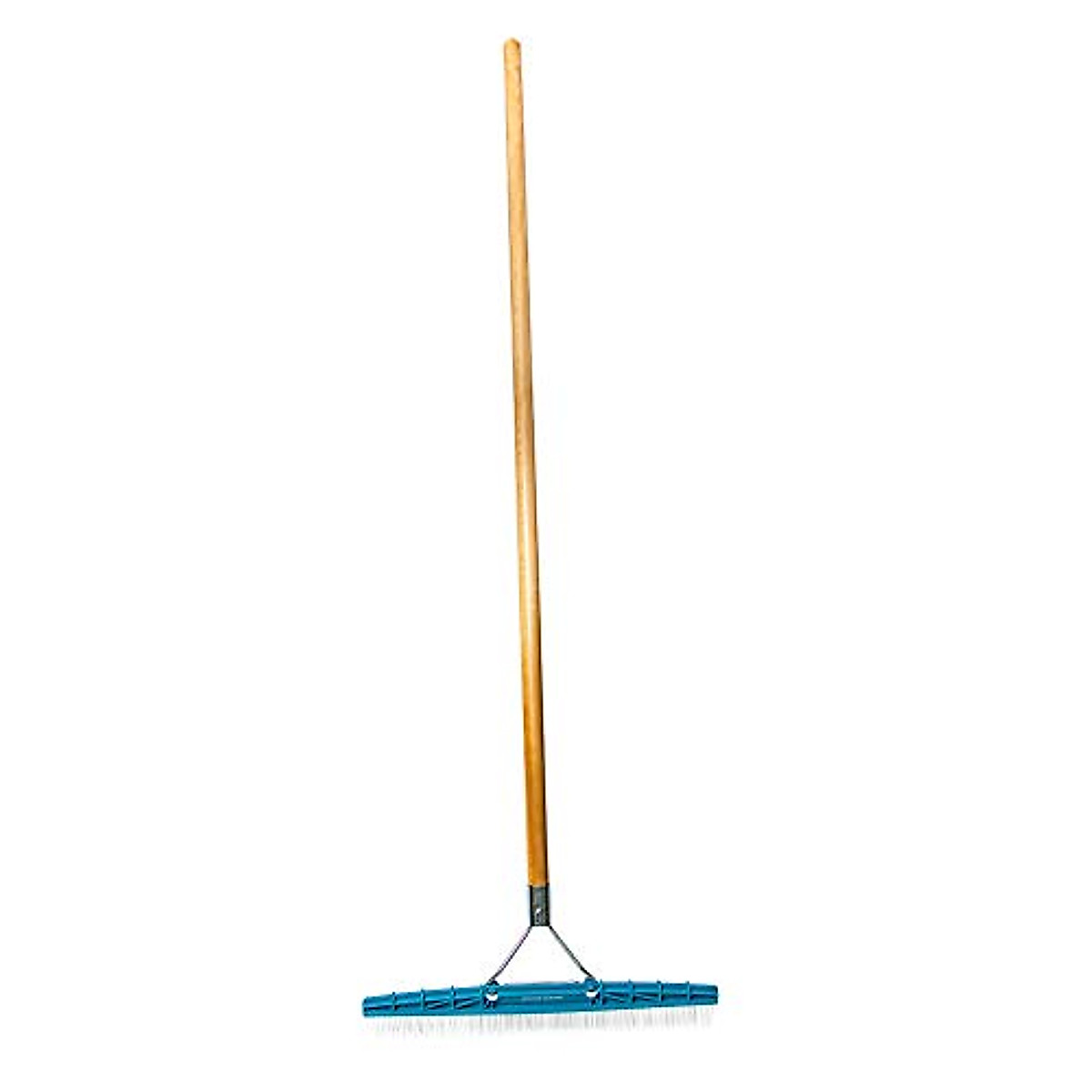 Grandi Groom AB24 Carpet Rake, 18-Inch Head, 54-Inch Handle, Blue
