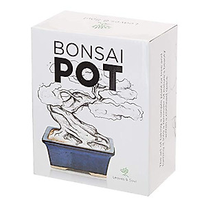 Glazed Ceramic Bonsai Pot - Decorative Planter for Dwarf Trees, Succulents, Small Plants - Blue Rectangular Container Perfect for Indoor and Outdoor Gardens, Table Centerpieces and Windowsill Décor