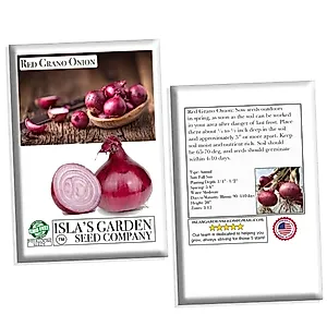 Red Grano Onion Seeds for Planting, 300+ Heirloom Seeds Per Packet, (Short Day) Non GMO Seeds, (Isla's Garden Seeds), Botanical Name: Allium cepa