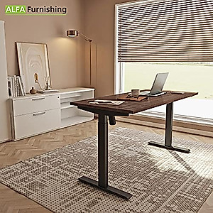 ALFA FURNISHING Height Adjustable Desk, 48” x 30” inches Whole Piece Desk Board, 2 Pre-Set Memory Button Electric Sit Stand Desk Standing Desk for Home Office Workstation