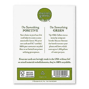 Compendium Positively Green 4-Pack of Birthday Cards - Forever Young, 4.25 in x 5.38 in, 4 Pieces