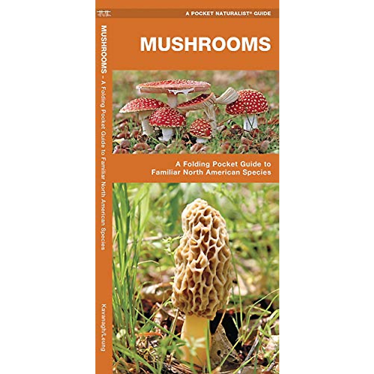 Mushrooms: A Folding Pocket Guide to Familiar North American Species (Nature Observation North America)