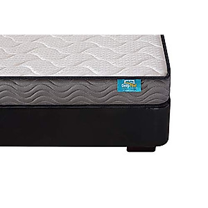 Viscologic SAVY Deep Feel High Density Foam Mattress for Guest Beds, Bunk Beds (Twin)
