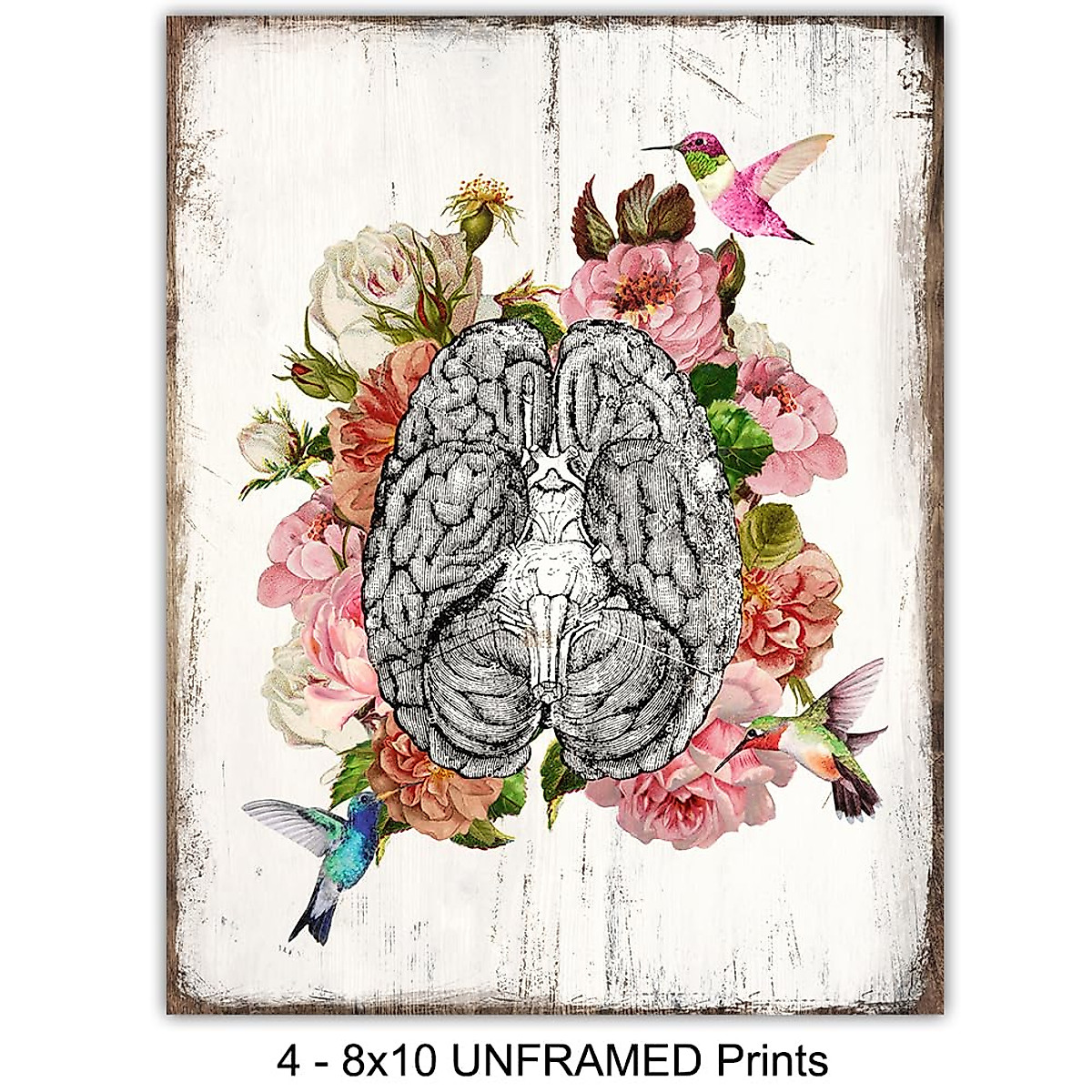 Human Anatomy Floral Hummingbird Wall Art Poster Set - 8x10 Rustic Heart, Brain, Lungs for Doctor, Medical Office, Living Room, Bedroom - Shabby Chic Goth Gift for ER Nurse Practitioner, RN, CNA