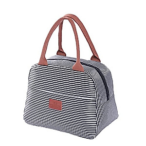 Eneteck Insulated Lunch Bag for Women, Reusable Lunch box for Adults, Insulated lunchbox Men Women, Lunch Tote Bags for Work, Picnic, Camping or Travel(Strip)