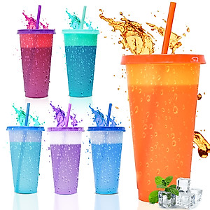 Sanzix Tumblers with Lids and Straws - 6 Pack 24oz Color Changing Cups with Lids and Straws, Reusable Cups with Lids and Straws for Party, Travel, Iced Coffee, Smoothie, Reusable Cold Drink Cups