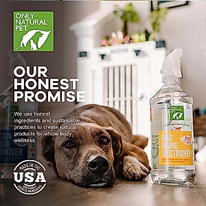 Only Natural Pet Enzyme Powered Stain & Odor Eliminator - Professional Pet Urine Pee Cleaner Deodorizer for Dogs - Hardwood Floors Carpets Upholstery - Eucalyptus & Rosemary Scent - 32Floz - 2 Pack