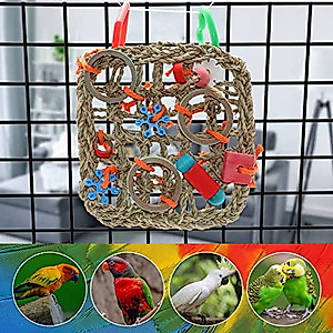 Wontee Bird Climbing Net Parrot Straw Braid Rope Hanging Foraging Wall for Parakeet Cockatiel Budgie Lovebird Cage Swing Toy